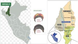 Los Pueblos Awajun y Wampis, guardianes de la cultura peruana | Revista ...